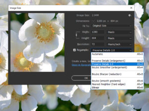 How To Upscale An Image In Photoshop: 7 Smart Tricks